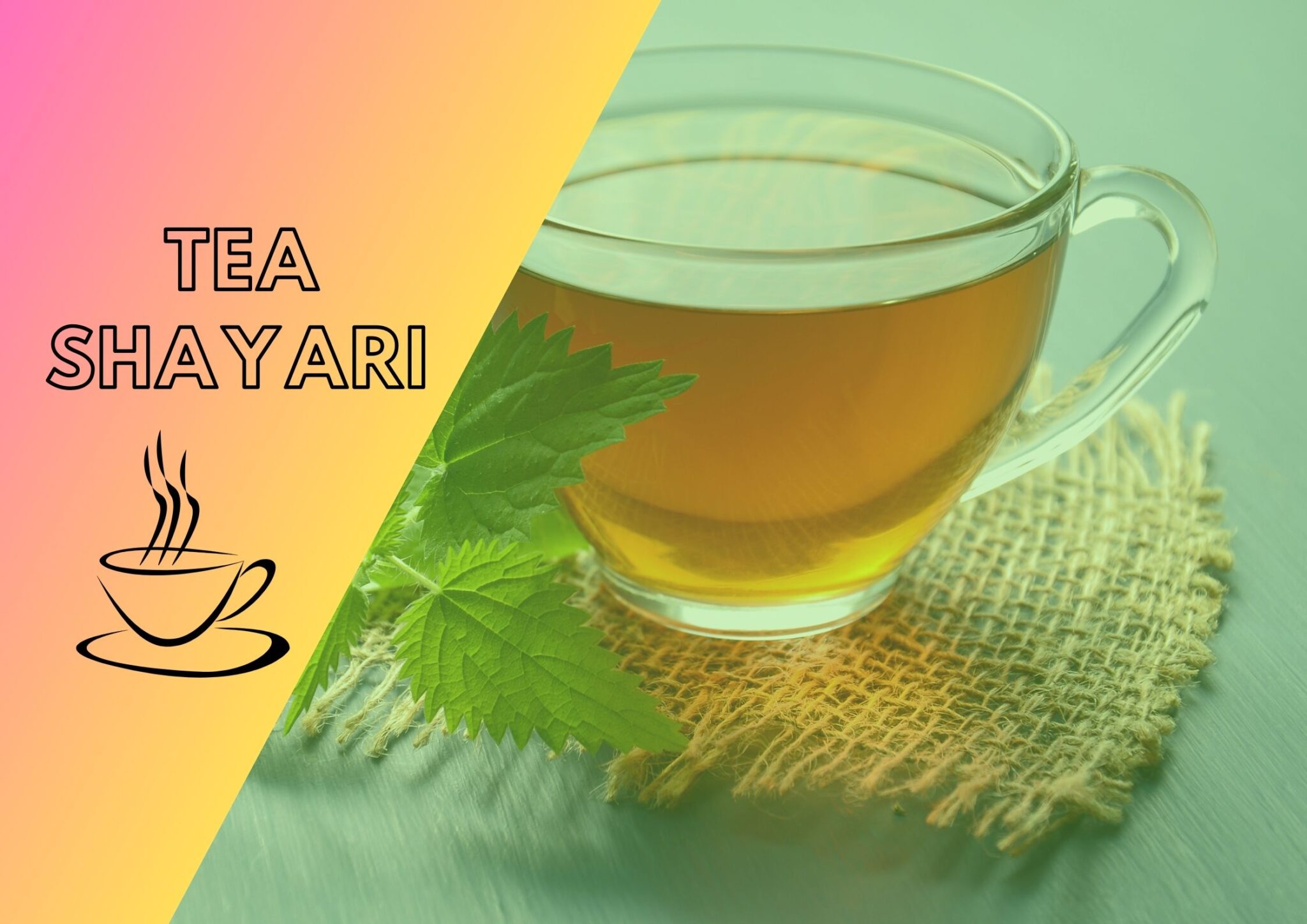 100+ Tea shayari in Hindi - Shayari Baba
