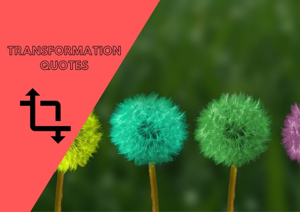 100+ Best Transformation Quotes