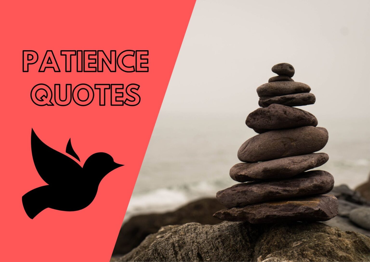 100+ Best Patience quotes - Shayari Baba