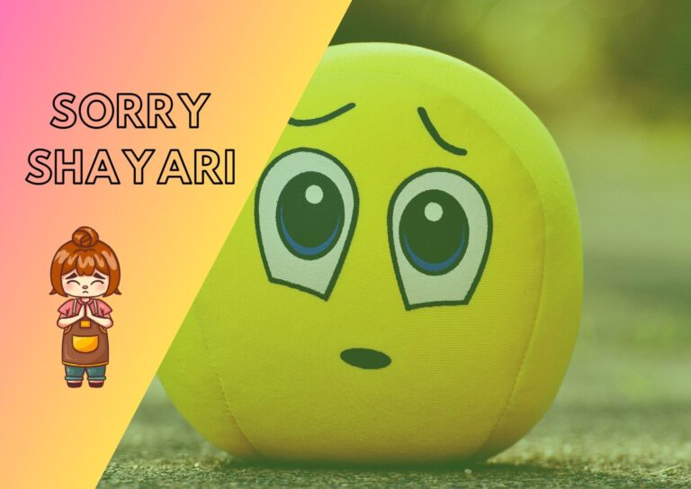 100+ Best Sorry Shayari in Hindi - Shayari Baba