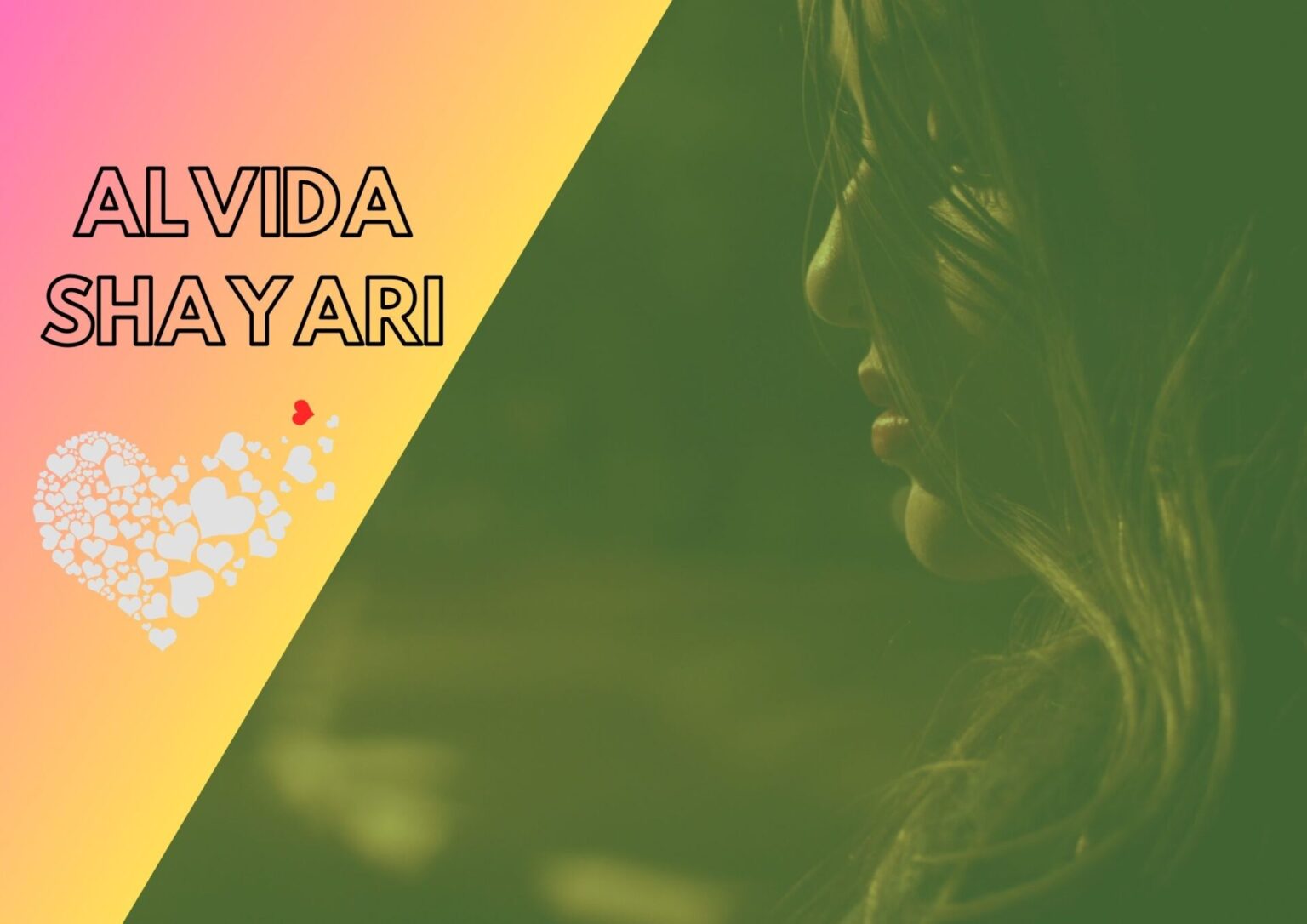 100+ Best Alvida Shayari | अलविदा शायरी - Shayari Baba