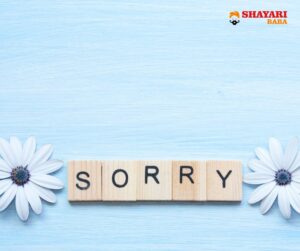 100+ Best Sorry Shayari in Hindi - Shayari Baba