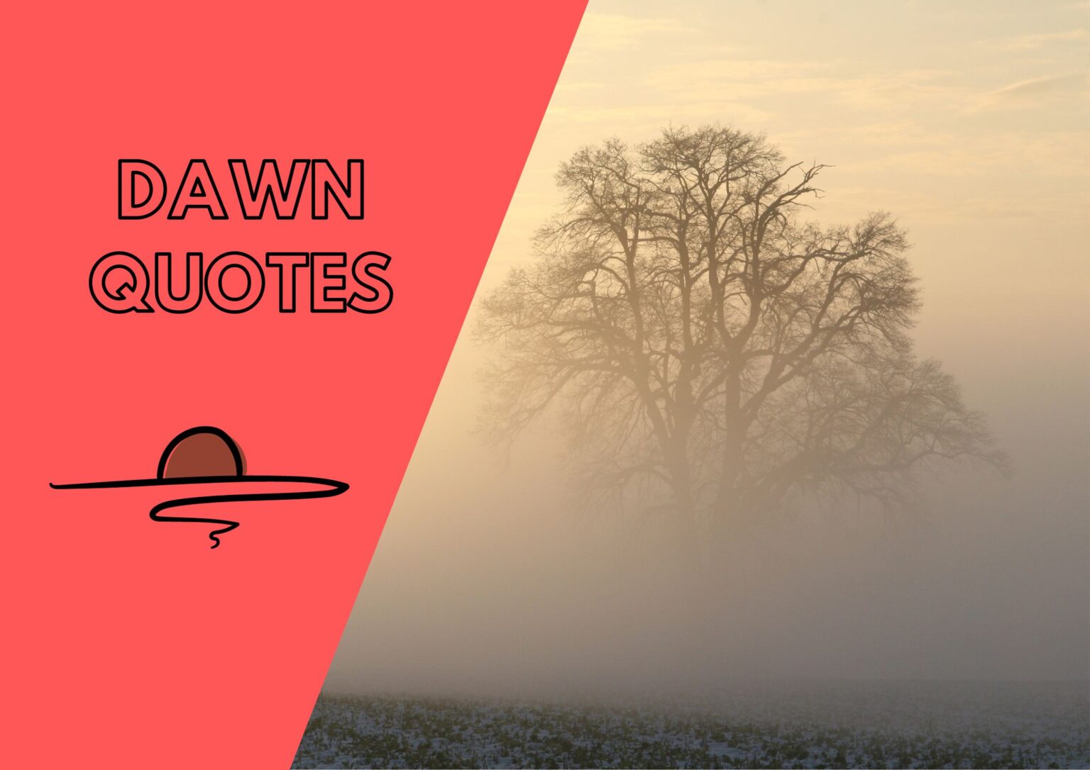 100+ Dawn Quotes - Shayari Baba