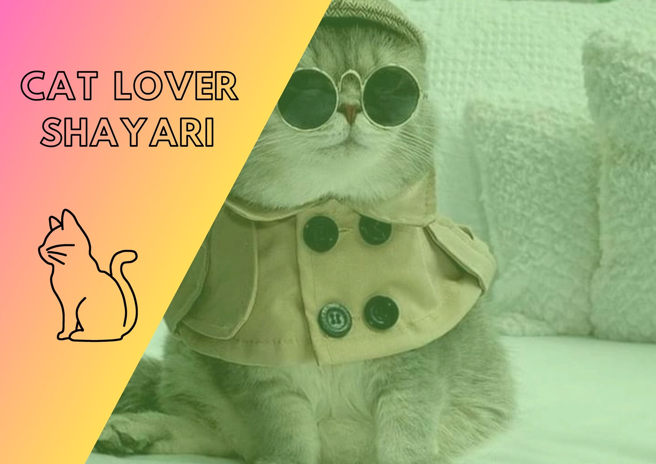 100 Funny Quotes In Hindi Shayari Baba 100 Funny Quotes In Hindi Shayari Baba