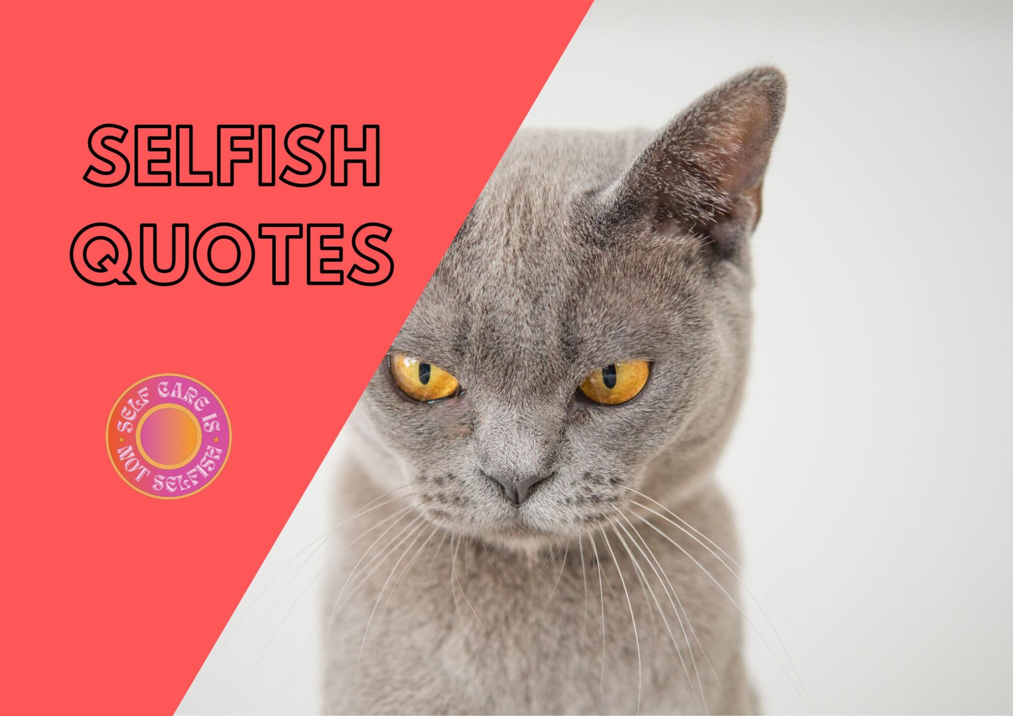 100+ Selfish Quotes - Shayari Baba