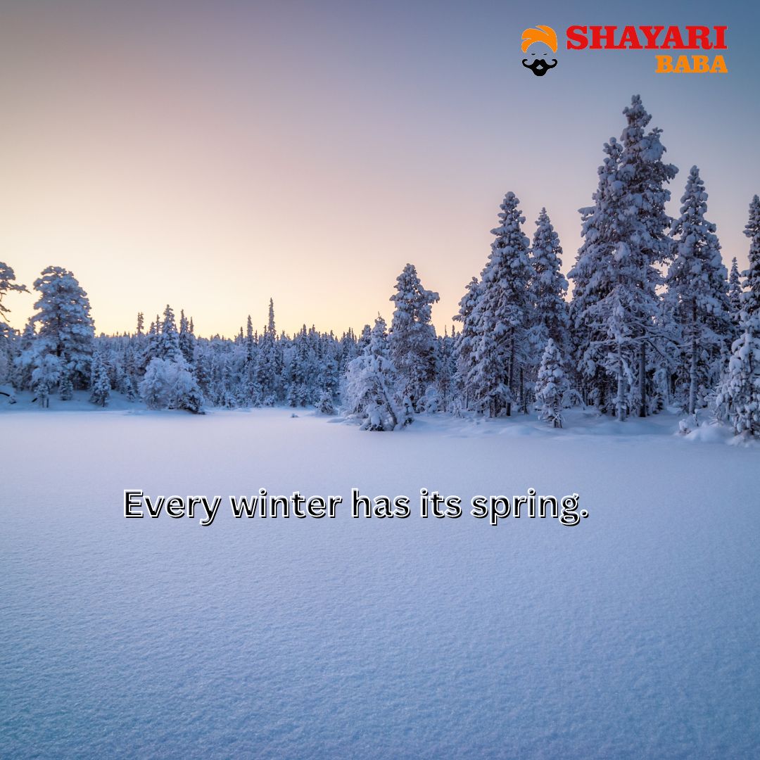 100+ New Winter Quotes - Shayari Baba