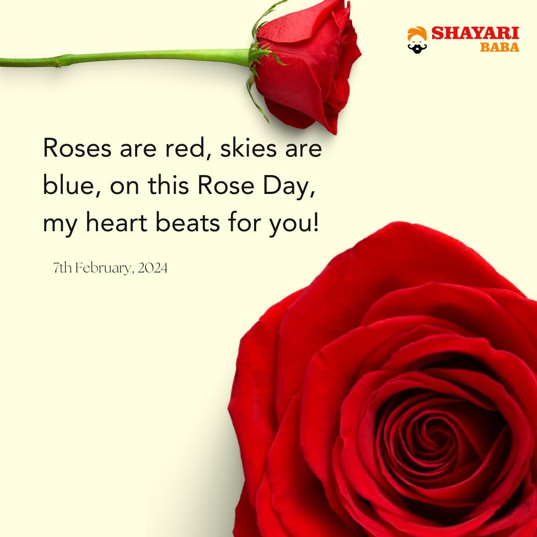 Happy Rose Day 2024 Status - Shayari Baba